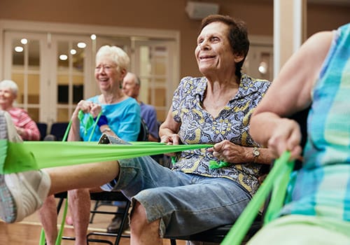 Independent Living Tampa