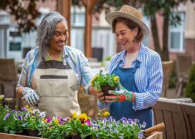 Best Year-Round Outdoor Plants | Brookdale Senior Living