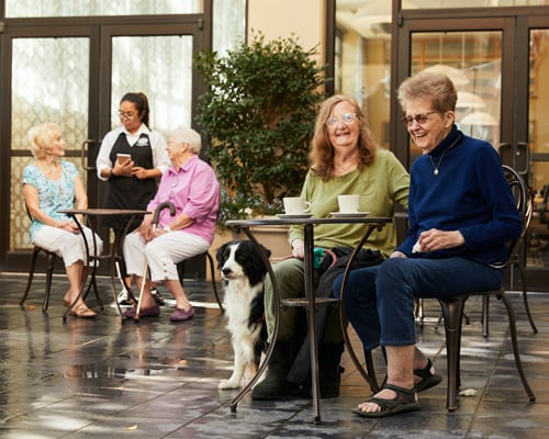 What is a CCRC | Brookdale Continuing Care Retirement Communities