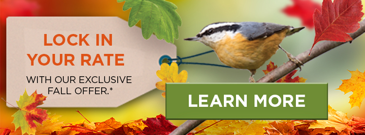 Brookdale Senior Living Independent, Assisted Living, Alzheimer's Care